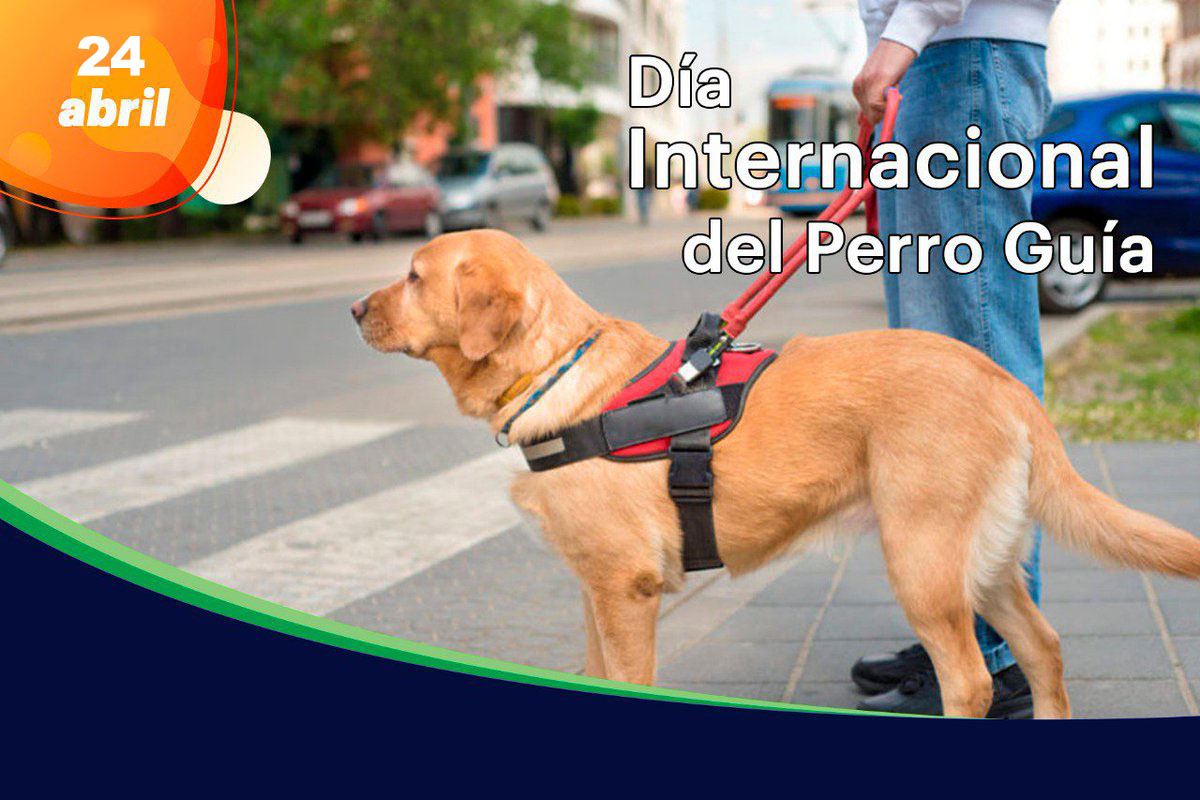 DIA INTERNACIONAL DEL PERRO GUIA - Grupo Comercial Orthos