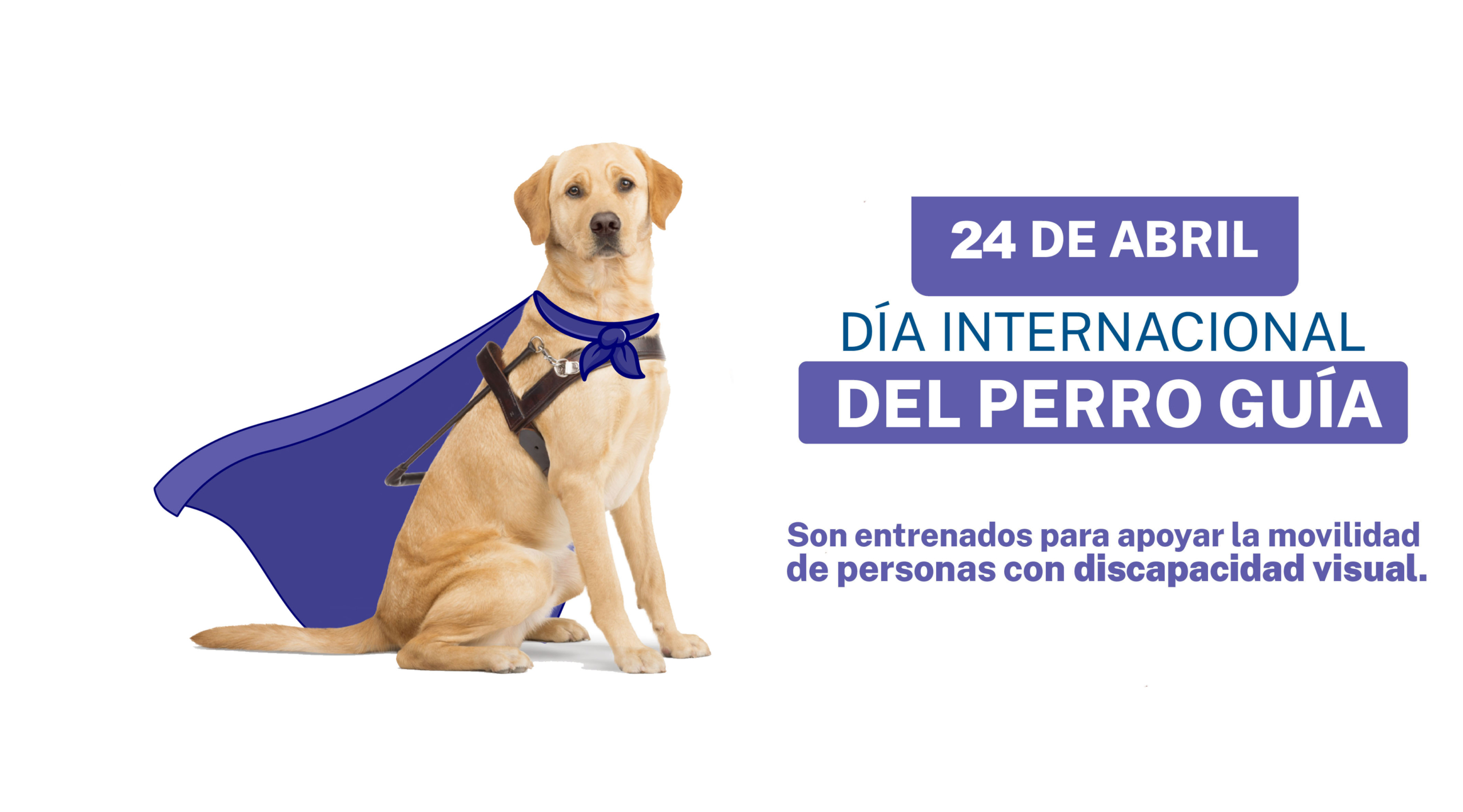 DIA INTERNACIONAL DEL PERRO GUIA - Grupo Comercial Orthos